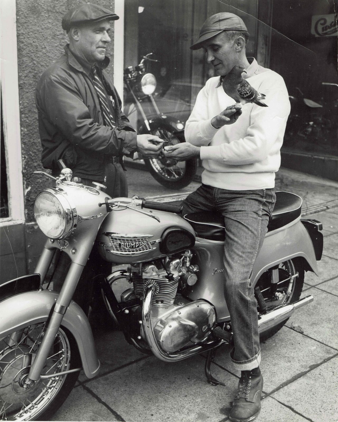 The Triumph C Range | Information on the 60's Meriden Triumph 'C' range ...